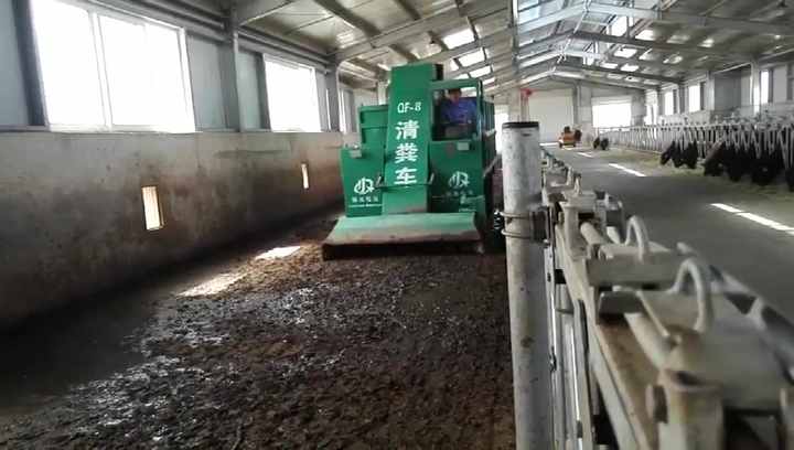 Cow Manure Collector - Efficient Farming Equipment