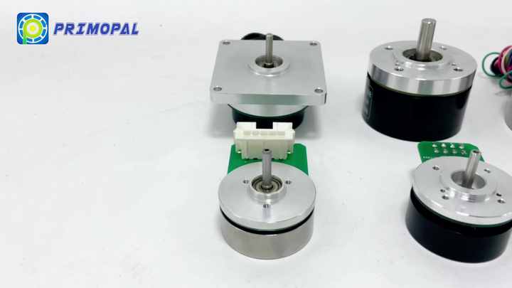 Primopal Bldc Powerful Outrunner Brushless DC Motor 12V