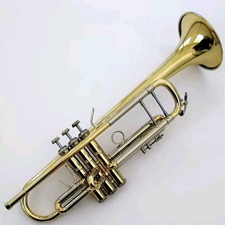 Brass Imported from Germany Bb Key Professional Trumpet