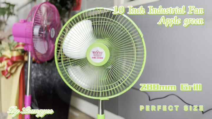 Mechanical Control 110V Oscillating Pedestal Fan Three Blades Metal ...