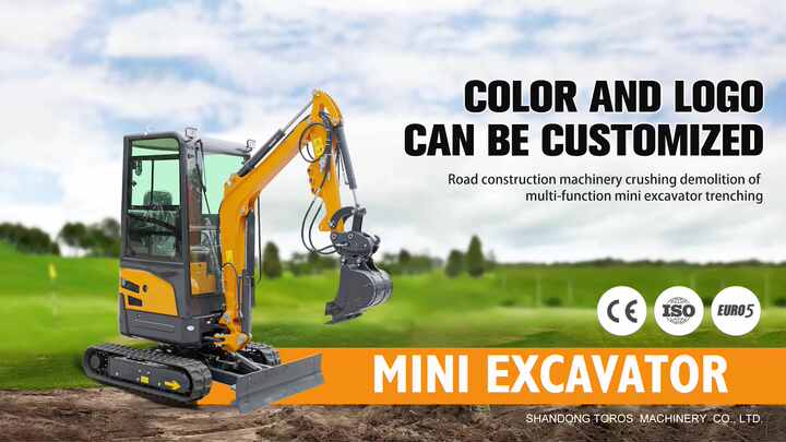 Mini Bagger 2 Ton - High Digging Power & Versatile Uses