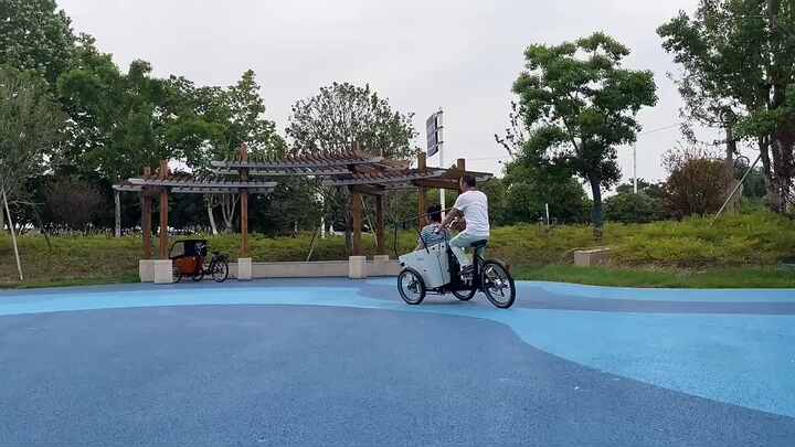 heavy duty electric cargo bike enclosed 36v 250w city four wheel cargo ...