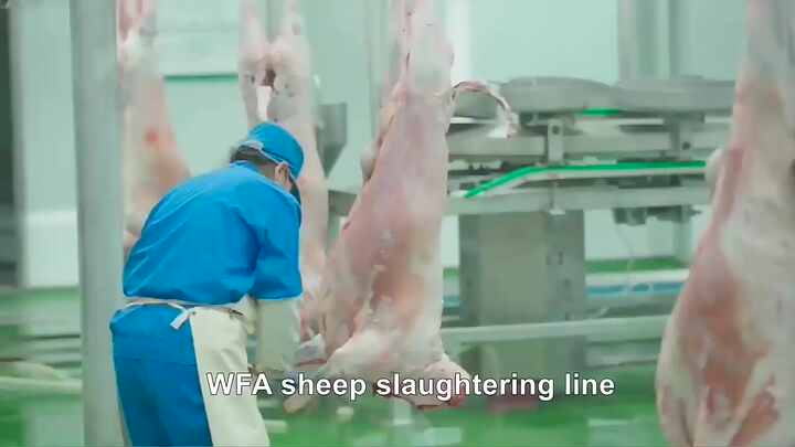 Complete Halal Sheep Slaughterhouse Goat Slaughter Line Machine Islamic ...