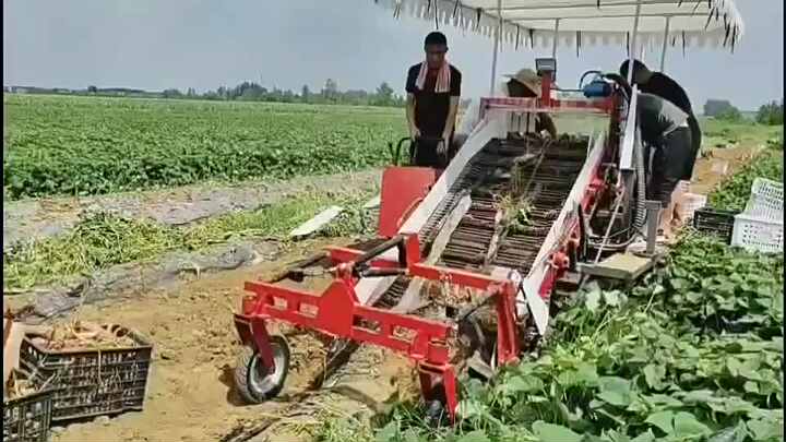 Automatic Loading Combine Harvester potato harvester with collecting ...
