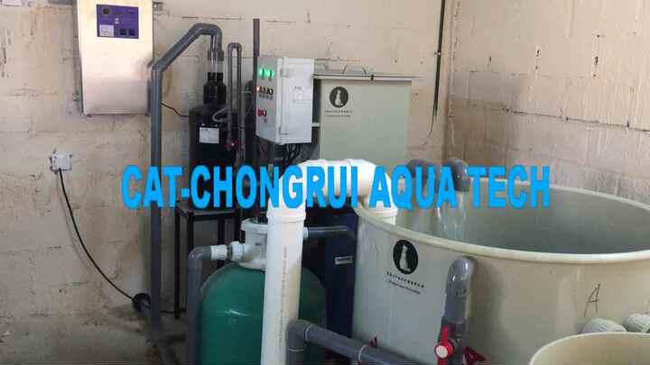 CATAQUA Intensive Aquaculture System - Efficient Fish Farming