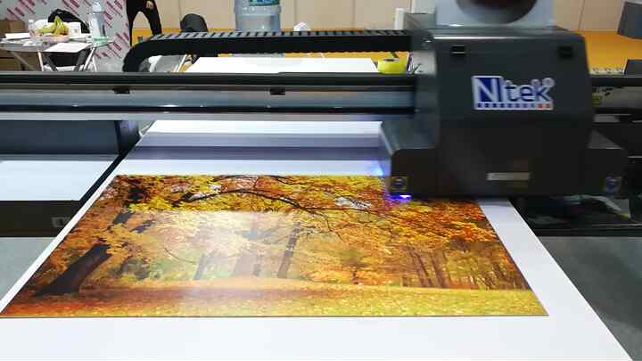 NTEK Digital Flatbed UV Printer with Ricoh Printhead - A Versatile ...