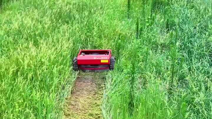 High Efficiency Lawn Mower - Honda Petrol Model for Sale