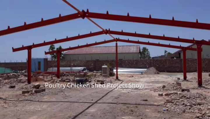 Poultry Farm Organizational Structure Design: Layer Chicken Farm Layout ...