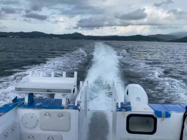 12m Aluminum Pilot Boat for Efficient Pilotage and Patrol - High-Speed ...