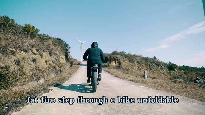 Coswheel GT20 E Bike - 48v 3000w Fast Ebike with 7 Speed Gears