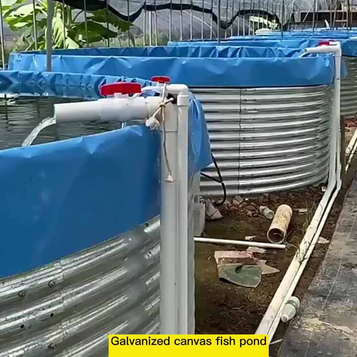 RAS Indoor Fish Shrimp Fish Farming Tank - Aquaculture Equipment
