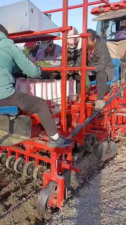 Seedling Planter Machine - High Precision & High Productivity