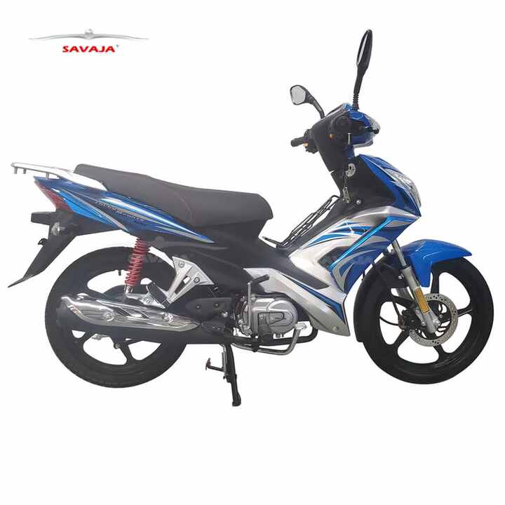 110CC HAOJUE LUCKY SPORT HJ110-3 CURVED MOTOR BIKE SAVAJA SJ110-3