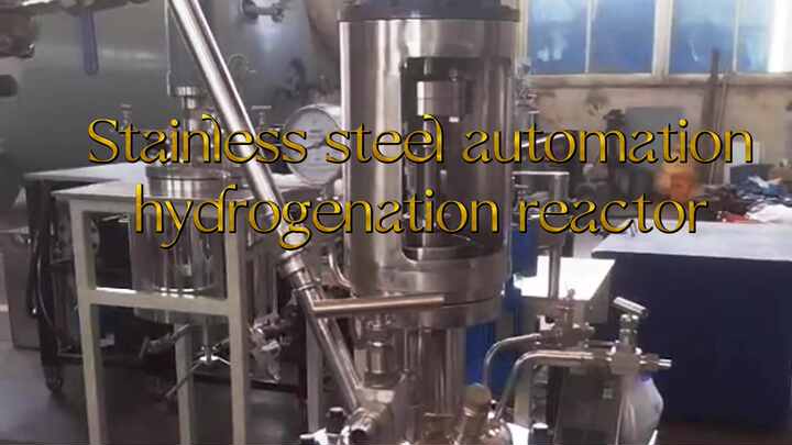 0.1 to 50L Stainless Steel Jacketed High Pressure Reactor