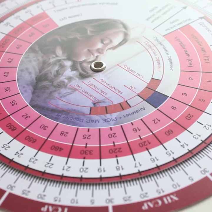 Plastic Pregnancy Wheel Due Date Calculator for OB/GYNs and Healthcare ...