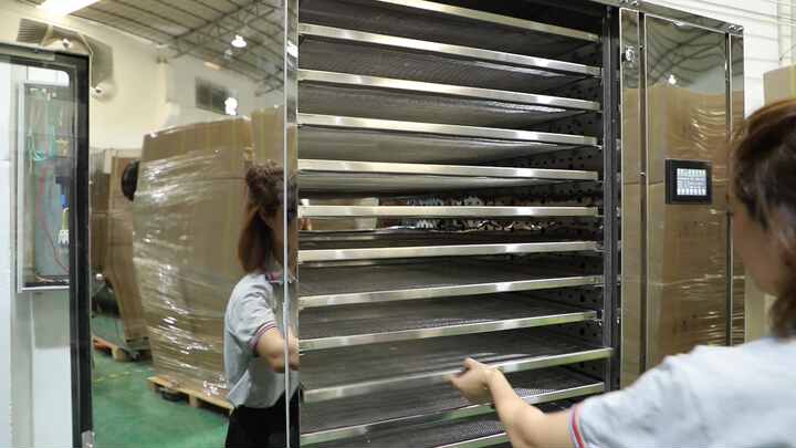 Dried Mango & Fruit Squid - Efficient Dehydrator Machine