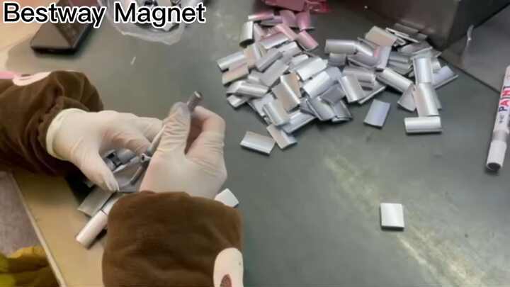 Magnetic Bearing Neodymium Halbach Array Segment N45 Motor Magnet