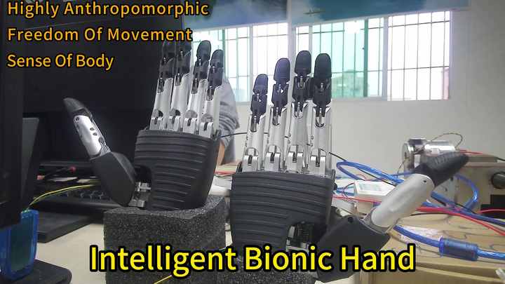 Faradyi Hand Intelligent Mechanical Bionic Arm Five Fingers Bionic Robot Hand With Control ...