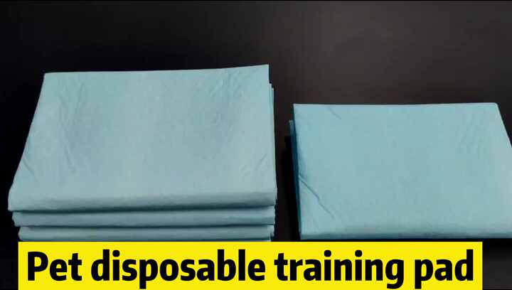 Hushpet Basic Extra Thick Dog Pee Blue Pet Cat Mat