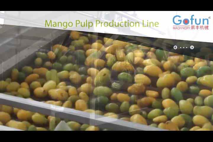 Mango Juice Pulp Puree Production Line - GOFUN Machines