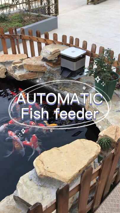 Automatic Battery Powered Fish Feeder with LCD Display & Timer - Large ...