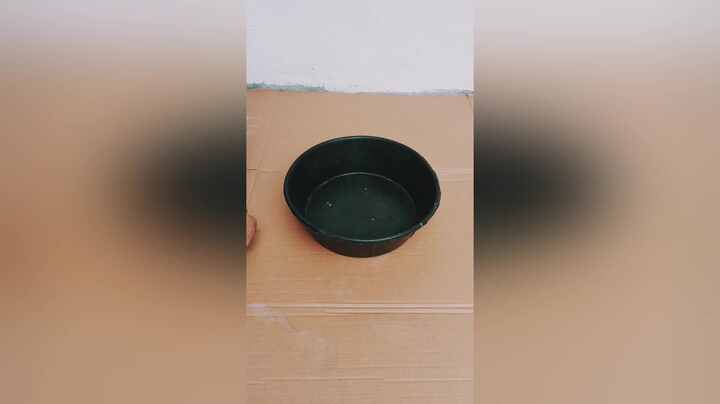 6.5gallon Recycled Rubber Poultry Feed Pan Tub| Alibaba.com