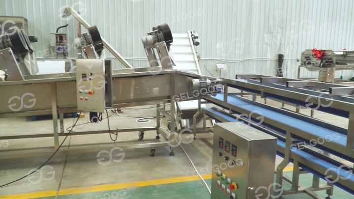 Gelgoog High Quality Banana Leaf Fruit Washing Waxing and Sorting ...