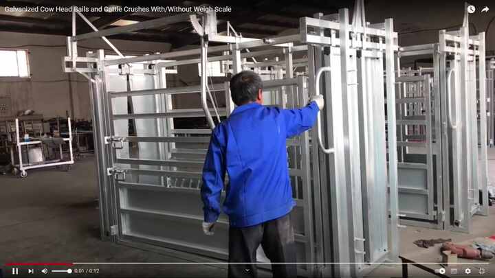 Galvanized Cattle Panel Squeeze Crush Cattle Handling Equipment ...