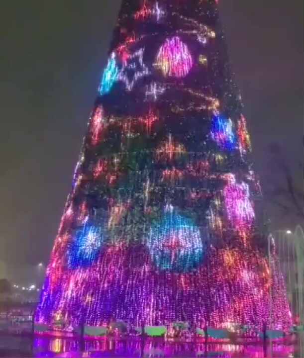 Commercial Outdoor Waterproof Christmas Tree Light Show