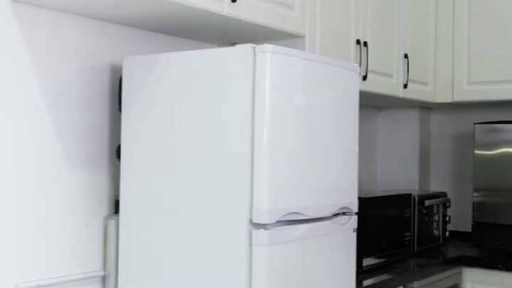 174L Double Door Natural Gas Propane Gas Powered Fridge
