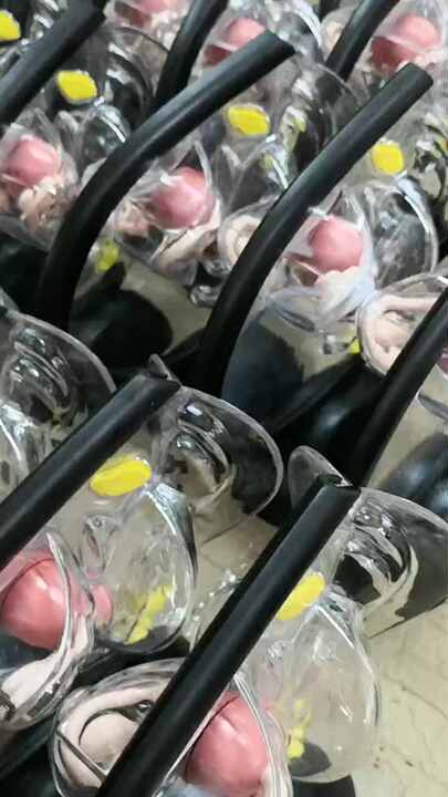 Transparent Uterine Anatomical Model for Medical Education