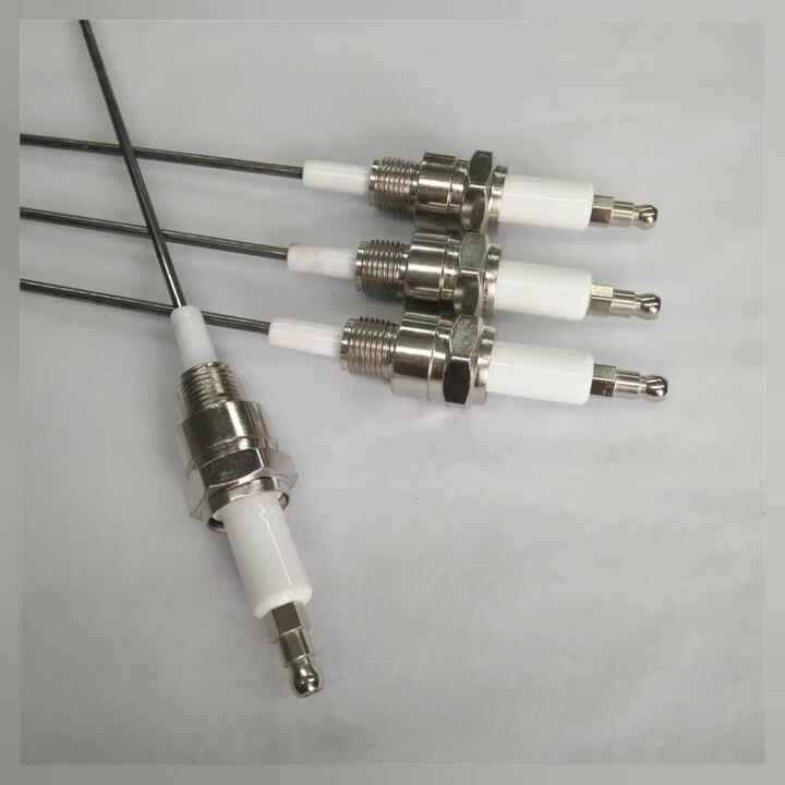 Customized Alumina Ceramic Electrode Ignitor - BBTAL013