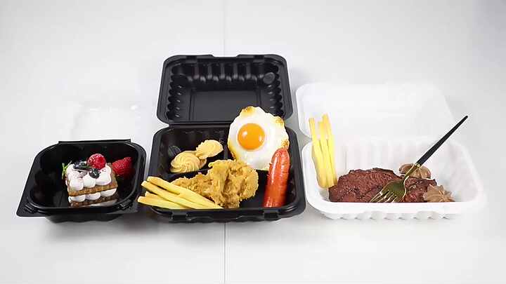 6x9"Promotional Hinged Container Containers Biodegradable Hinged to Go ...