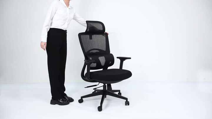 Ergonomic Full Mesh Office Chair with Adaptive Lumbar Support