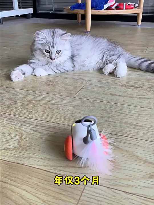 2025 Hot Selling Custom Intelligent Remote-Controlled Smart Interactive ...