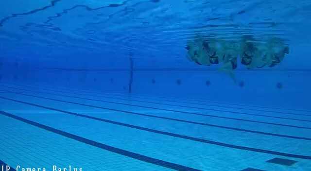 IP68 Underwater IP Camera - 2 MP CCTV for Aquaculture, Waterproof ...