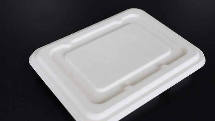 Eco-friendly Disposable Bamboo Pulp Lunch Boxes - Customizable