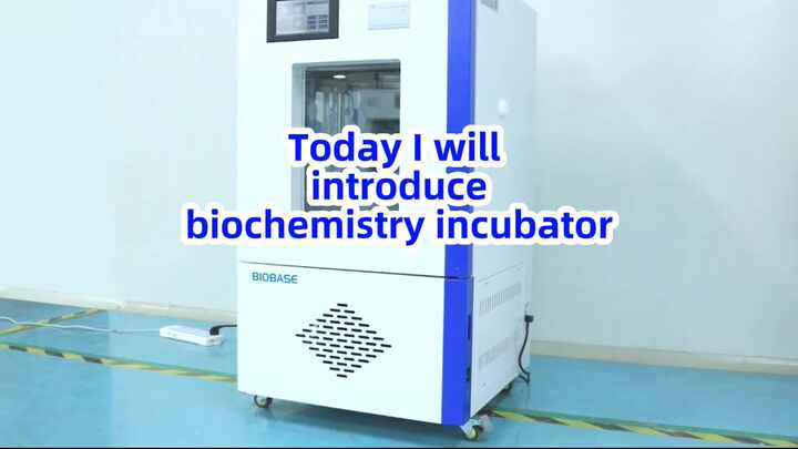 BIOBASE 200L Laboratory Incubator Biochemistry Incubators BJPX-B200 ...