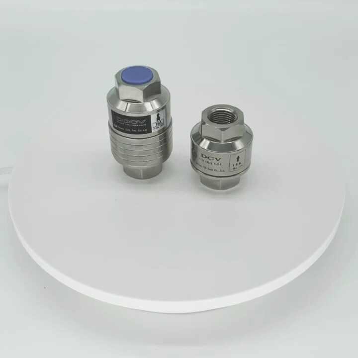Double Disc Brass Check Valve for Air & Steam - High Efficiency Metal ...