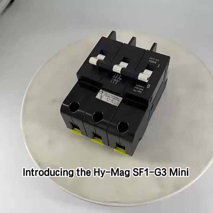 Hy-Mag SF1-G3微型断路器60A MCB，分断能力为6kA额定电流从5A到100A| Alibaba.com