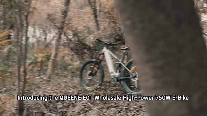 QUEENE 750w g510 mi drive moteur gros vélo 26X4.0 ebike 1000w bafang ...