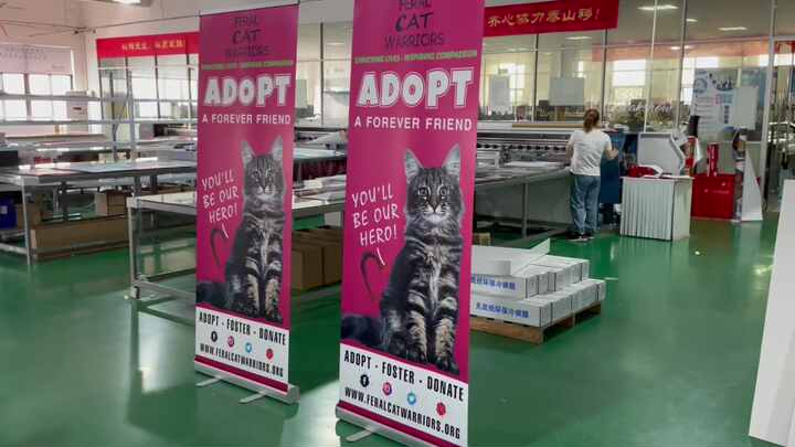Roll up Stand Advertising Banner Stand Roll Down Banner Roll up Standee ...