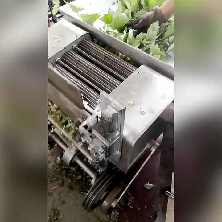 High Quality Tobacco Shisha Leaf Cutter Machine Herb Tea Leaf Cutting ...