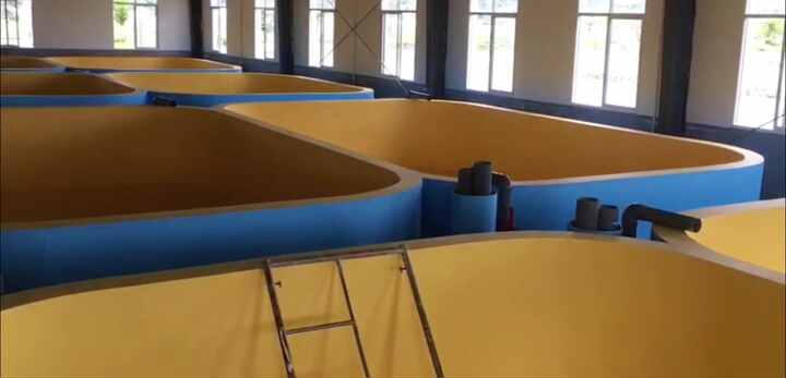 Fresh Water RAS Fish Farming Equipment for Indoor Aquatics