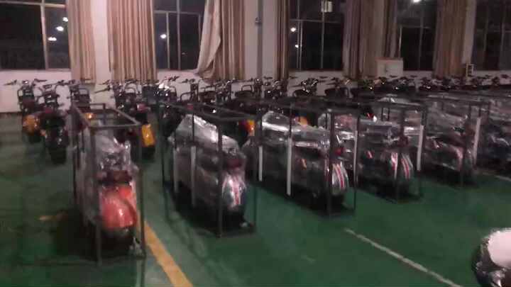 Steel Frame Electric Scooters - Citycoco 60-80km Range