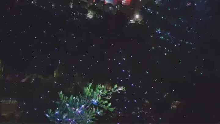 TNT Outdoor Portable Hanging Firefly Starry Laser Light