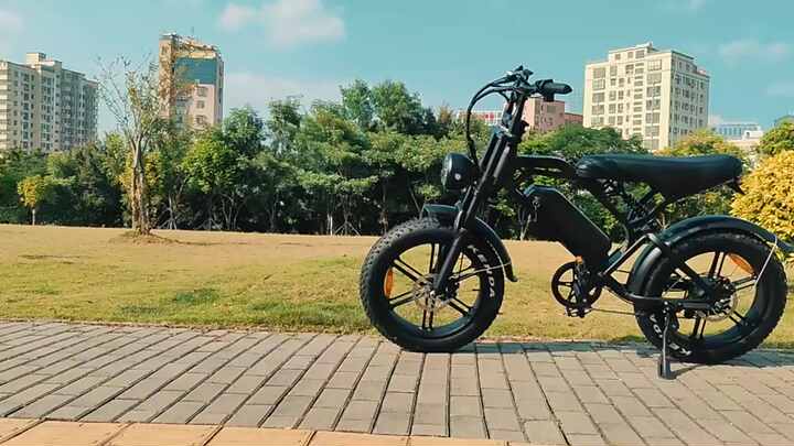 APP Control Electric Fatbike X80Pro - 250W E-Bike with Fast Location ...