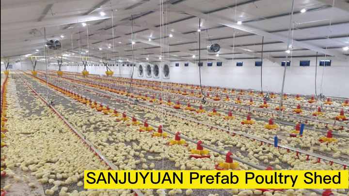Cheapest quotation poultry farming equipment prefab commercial chicken ...