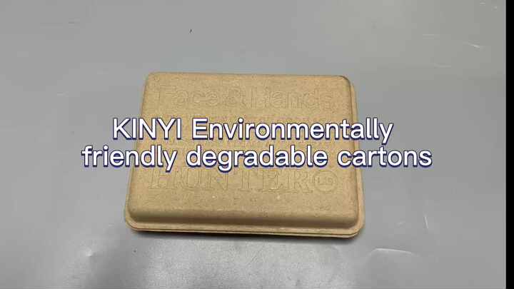 Custom Sustainable Eco-Friendly Paper Mould Pulp Box