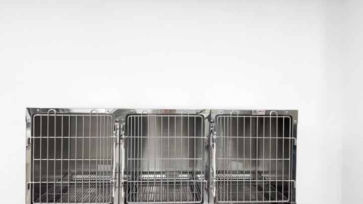 Animal ICU Kennel Groomers Large Stainless steel Veterinary cages ...